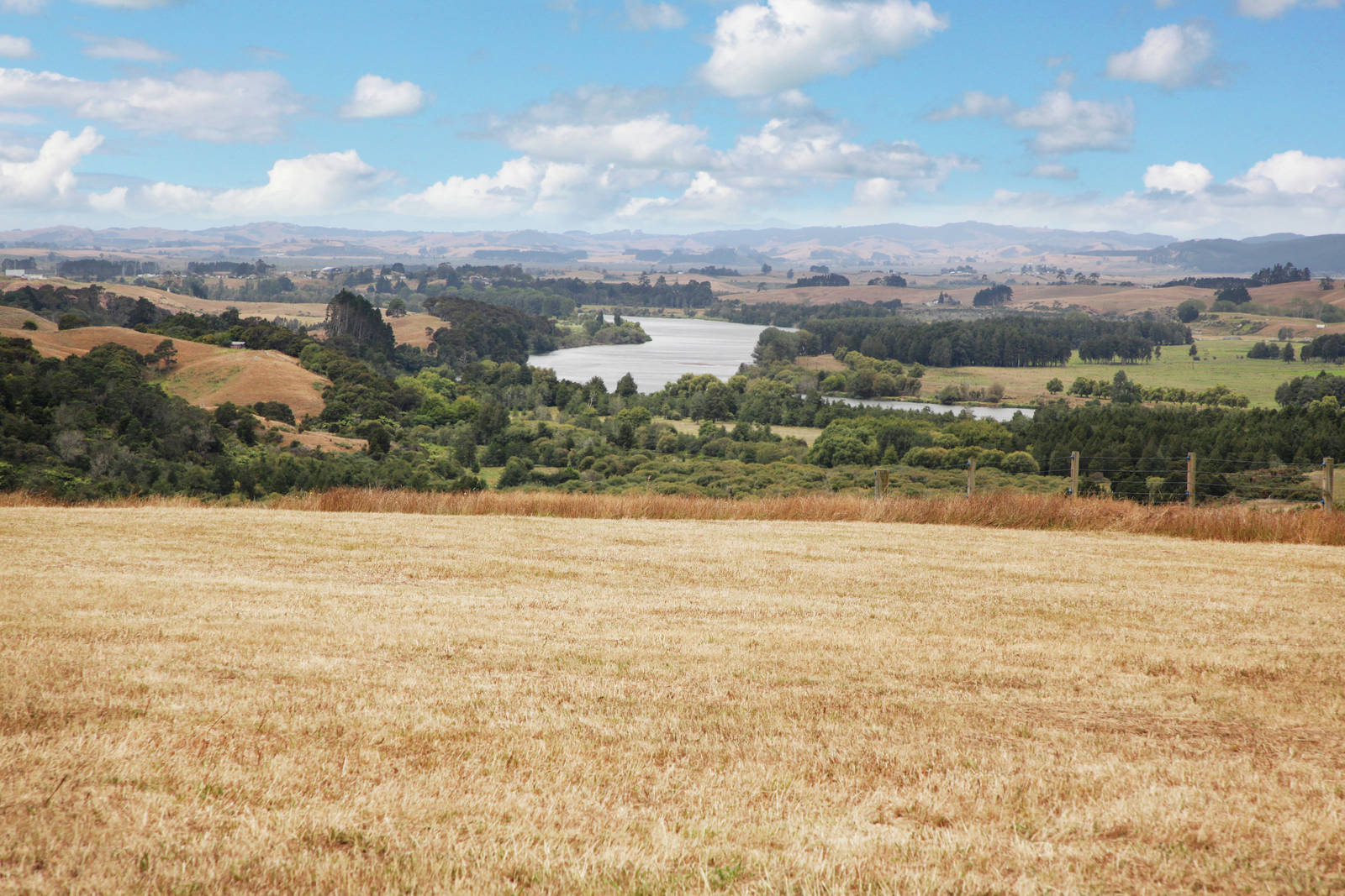 00 Punga Punga Road, Pukekawa