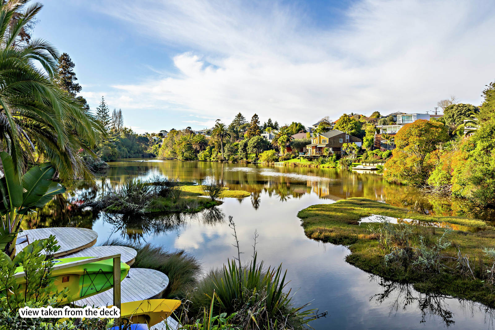 77a Ngapuhi Road, Remuera - 3 Bed House - For Sale