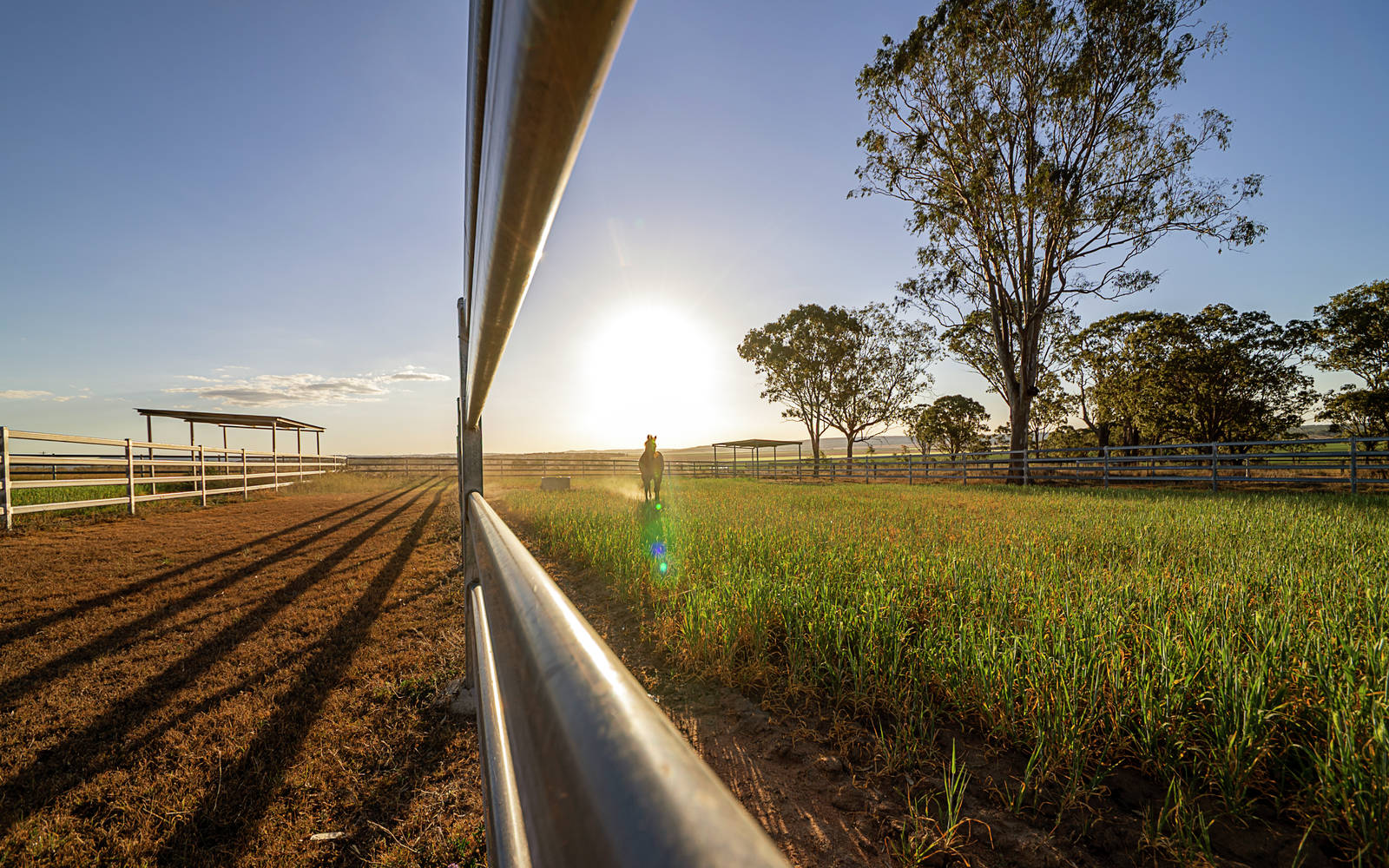 1101 Willowvale Road, Massie - 4 Bed House - For Sale