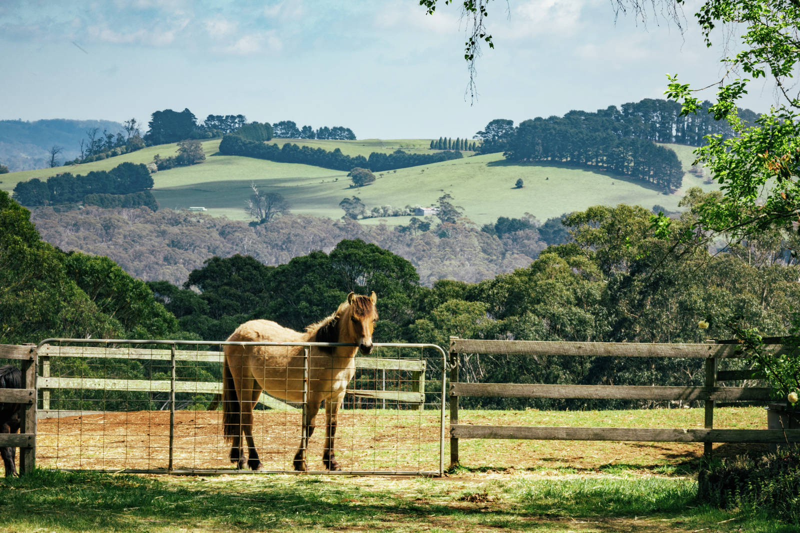 77 Kia-Ora Lane, Kangaloon - 5 Bed House - For Sale